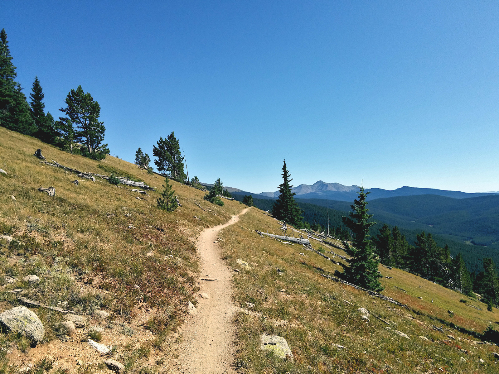 The Colorado Trail