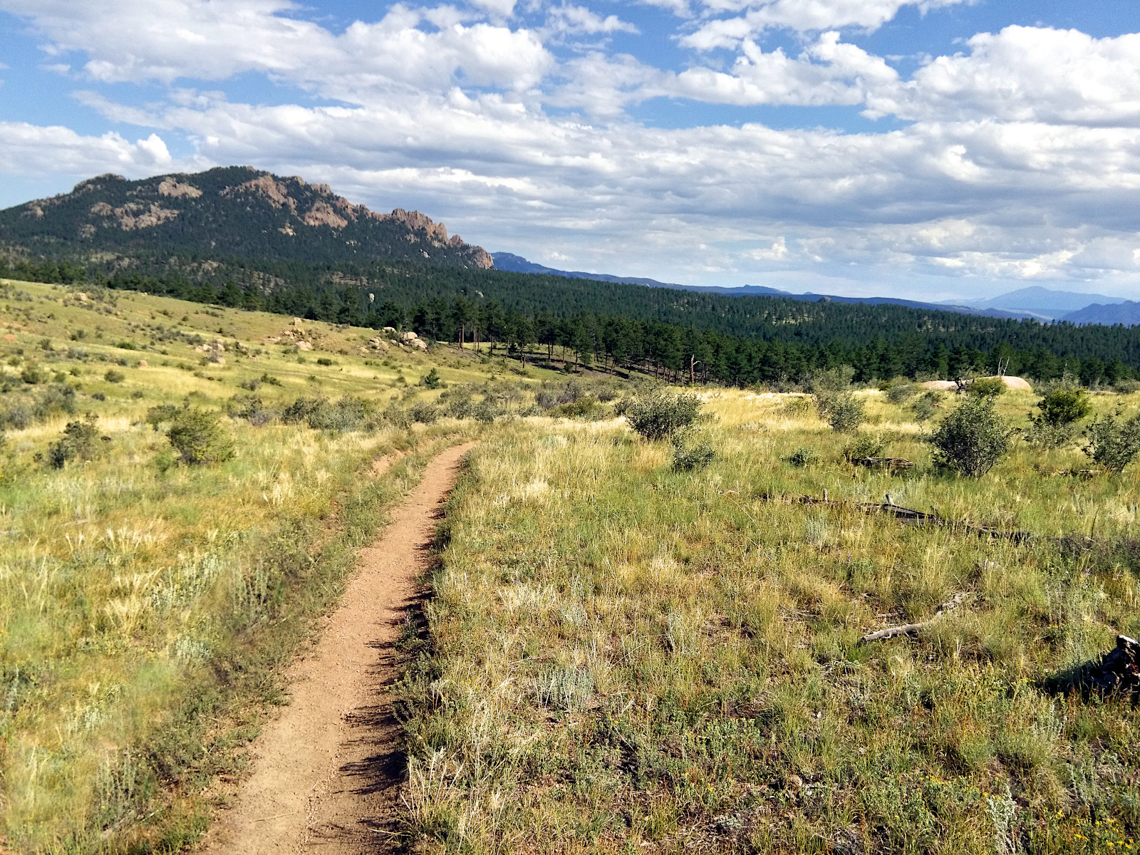 The Colorado Trail