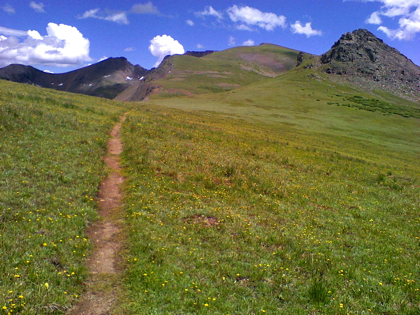 The Colorado Trail