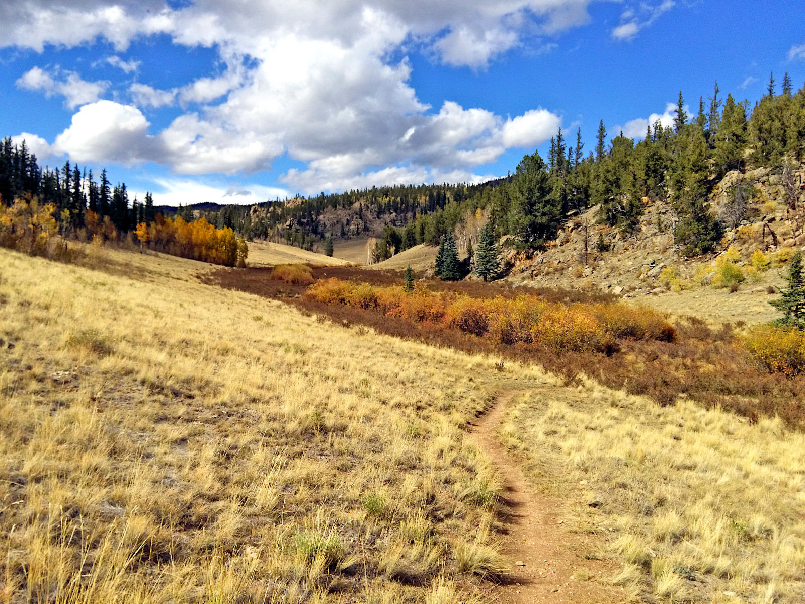 The Colorado Trail