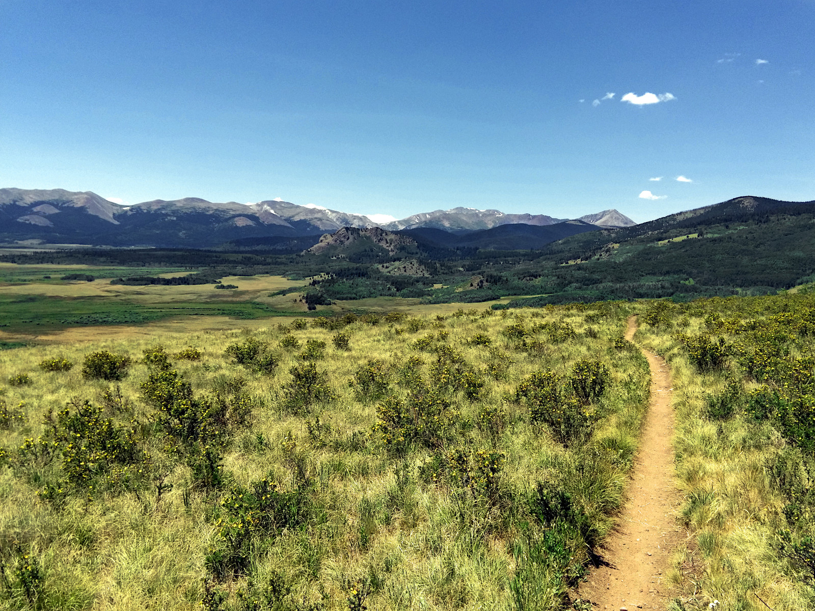 The Colorado Trail