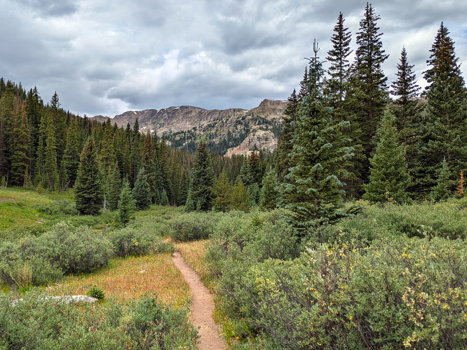 The Colorado Trail